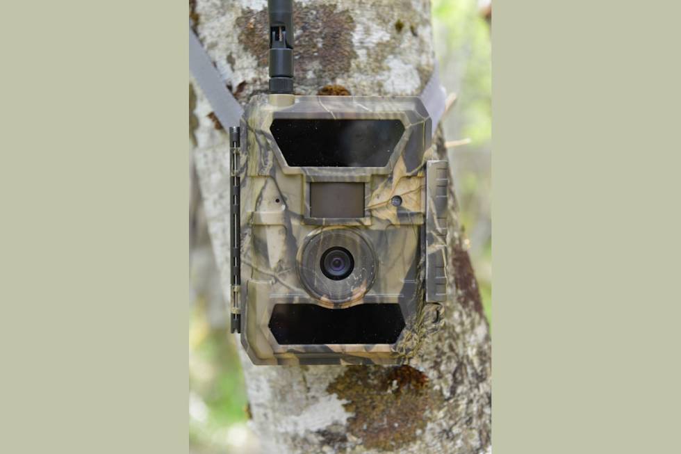 Test av Hunter Premium trail camera - JEGER.NO